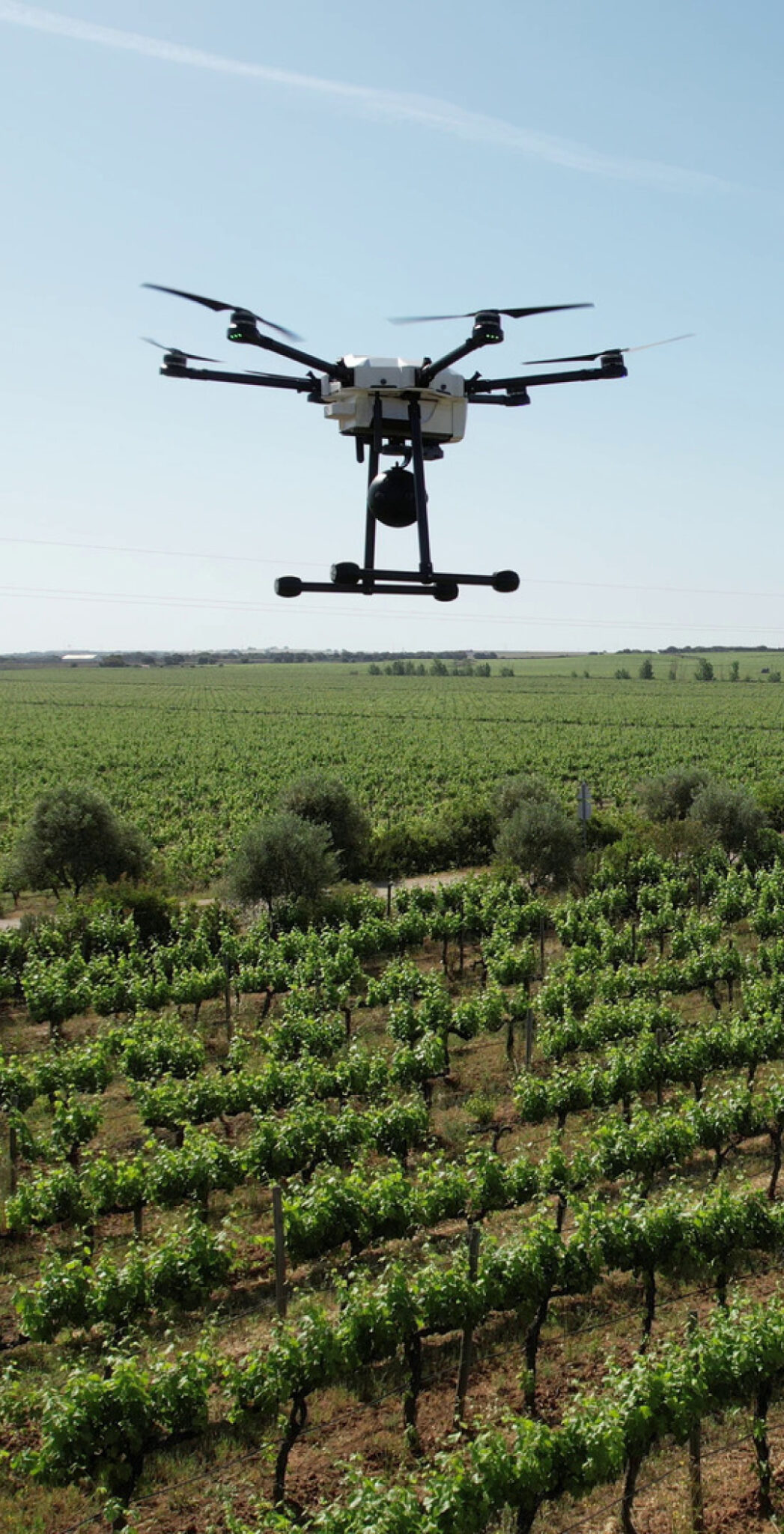 BEYOND VISION - UNVEX 2024 Barcelona